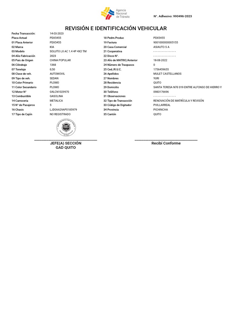 Revisión E Identificación Vehicular | PDF