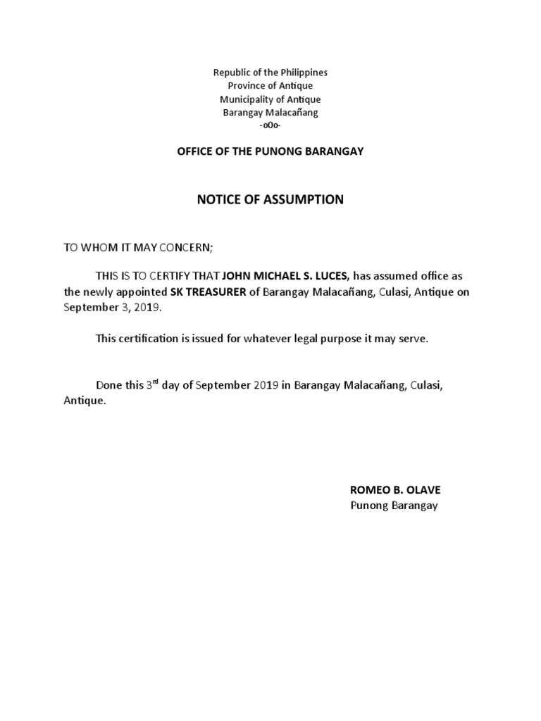 Assumption of Office | PDF