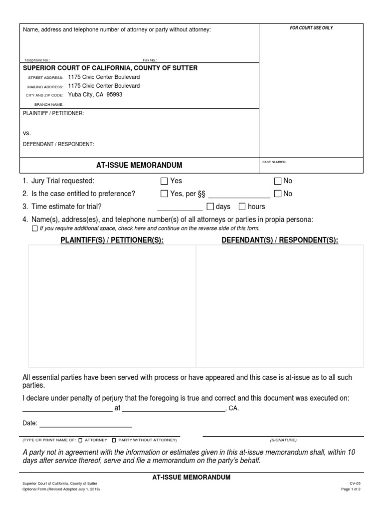 At-Issue Memorandum Overview | PDF