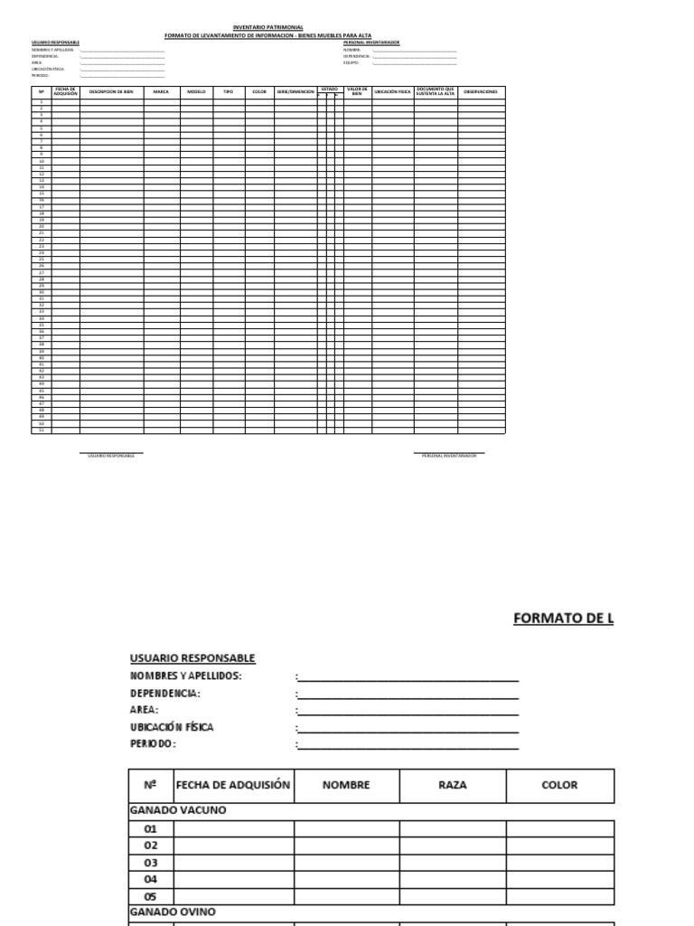 Inventario Patrimonial Formato de Levantamiento de Informacion - Bienes Muebles para Alta | PDF