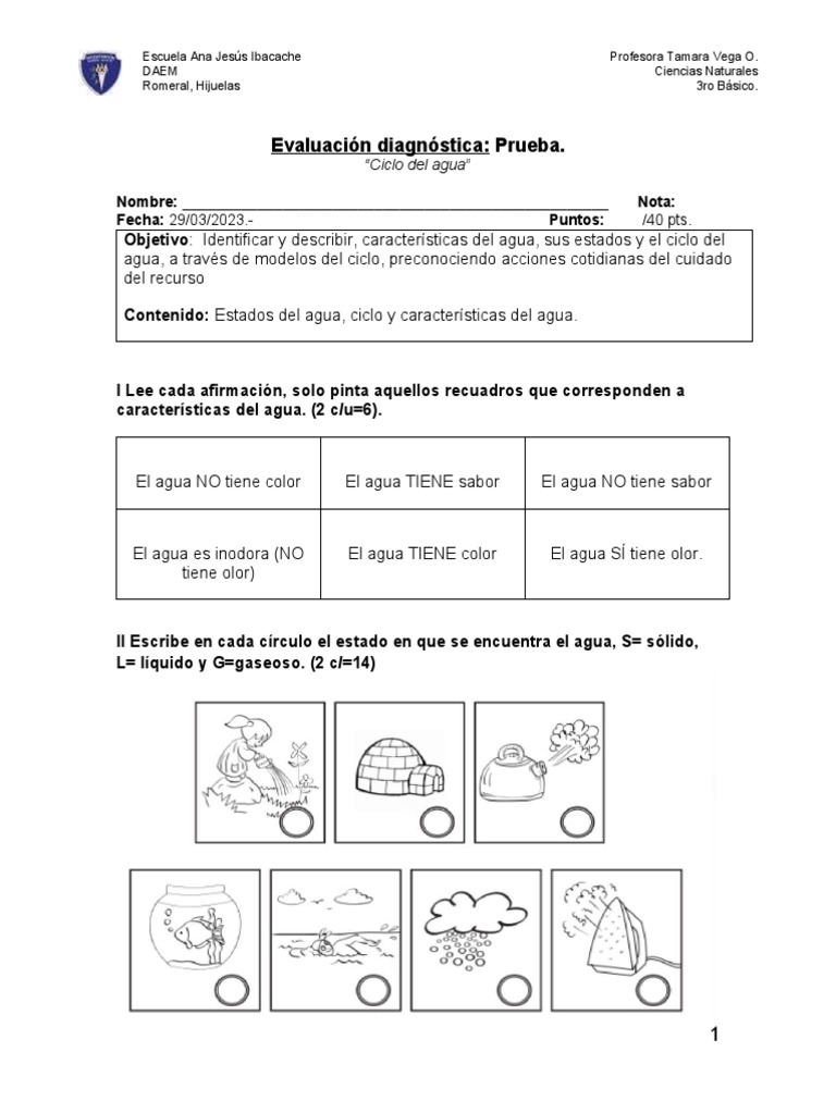 Evaluación Diagnóstica Ciencias 3° Básico | PDF