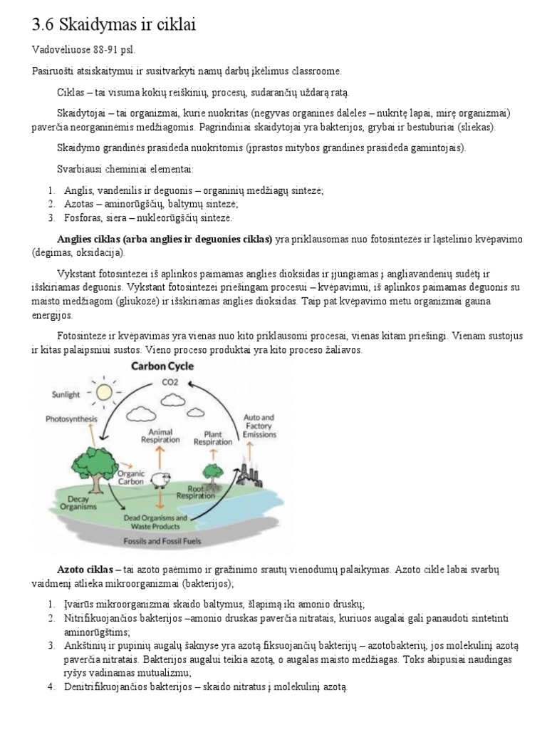 3.6. Skaidymas Ir Ciklai | PDF