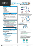 Class 10 Respiration Notes | PDF | Respiratory System | Respiratory Tract