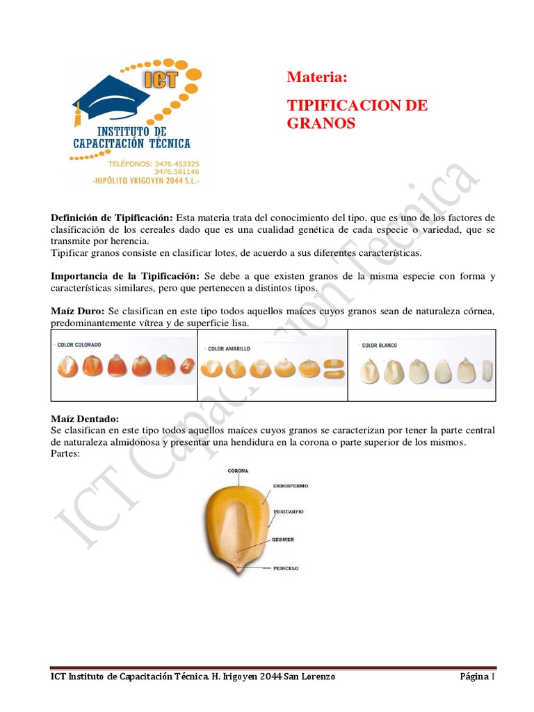 Tipificación y Clasificación de Granos | PDF | Cebada | Phaseolus Vulgaris