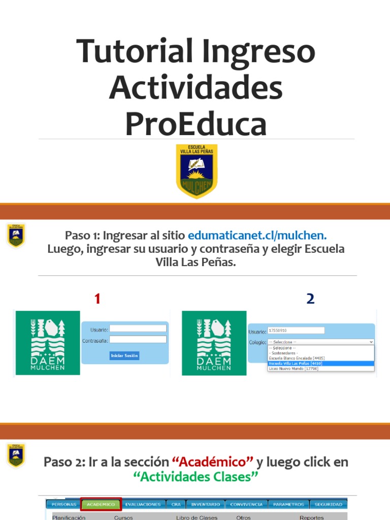 Tutorial Ingreso Actividades Proeduca | PDF