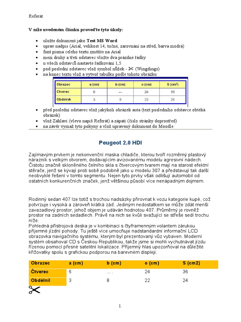 Test MS Word | PDF