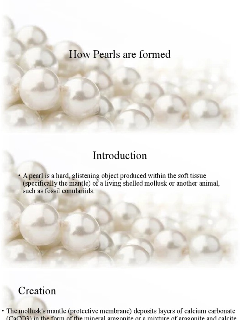 How Pearls Are Formed | PDF
