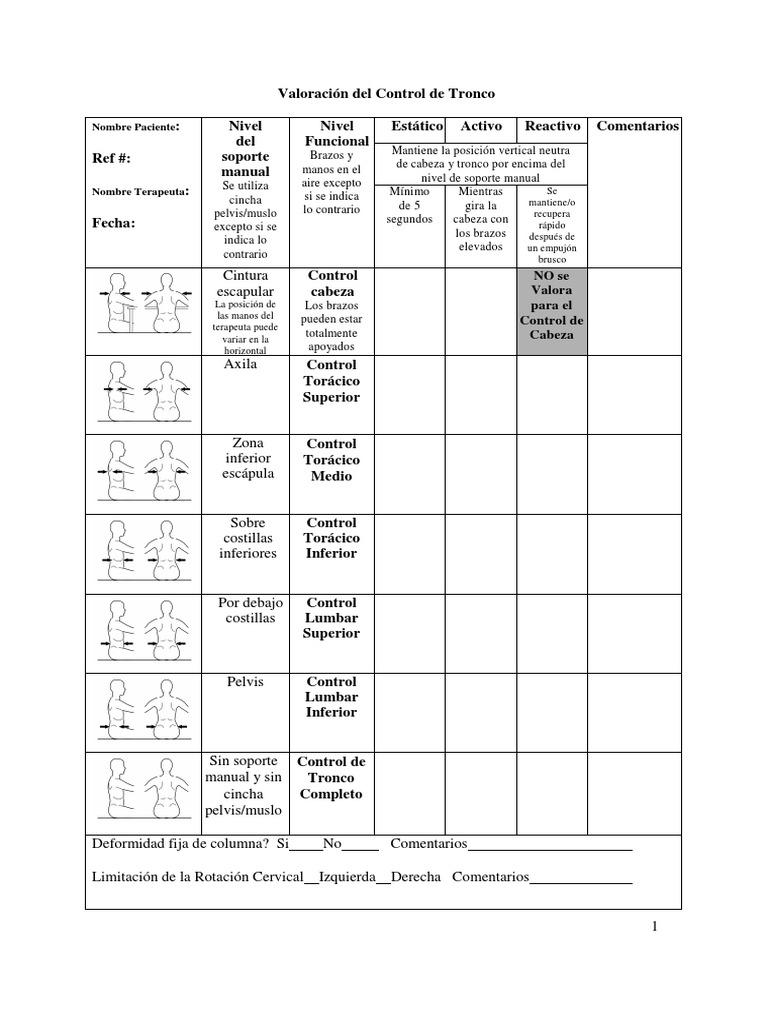 Test SATCo Castellano | PDF | Pelvis | La columna vertebral