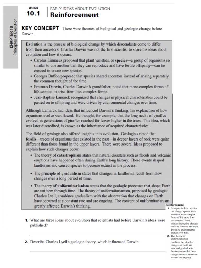 10-1 Reinforcement | PDF