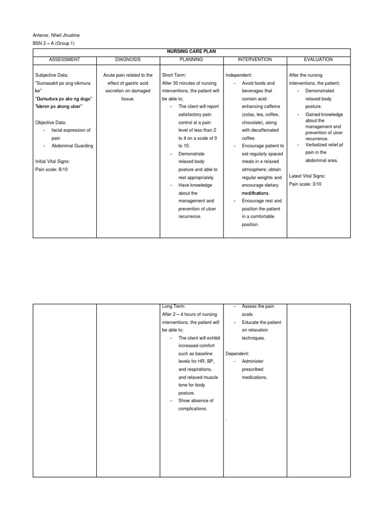 Nursing Care Plan | Download Free PDF | Pain | Nursing