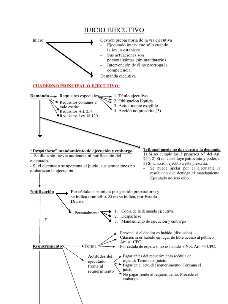 Esquema Juicio Ejecutivo | PDF | Sentencia (ley) | Apelación