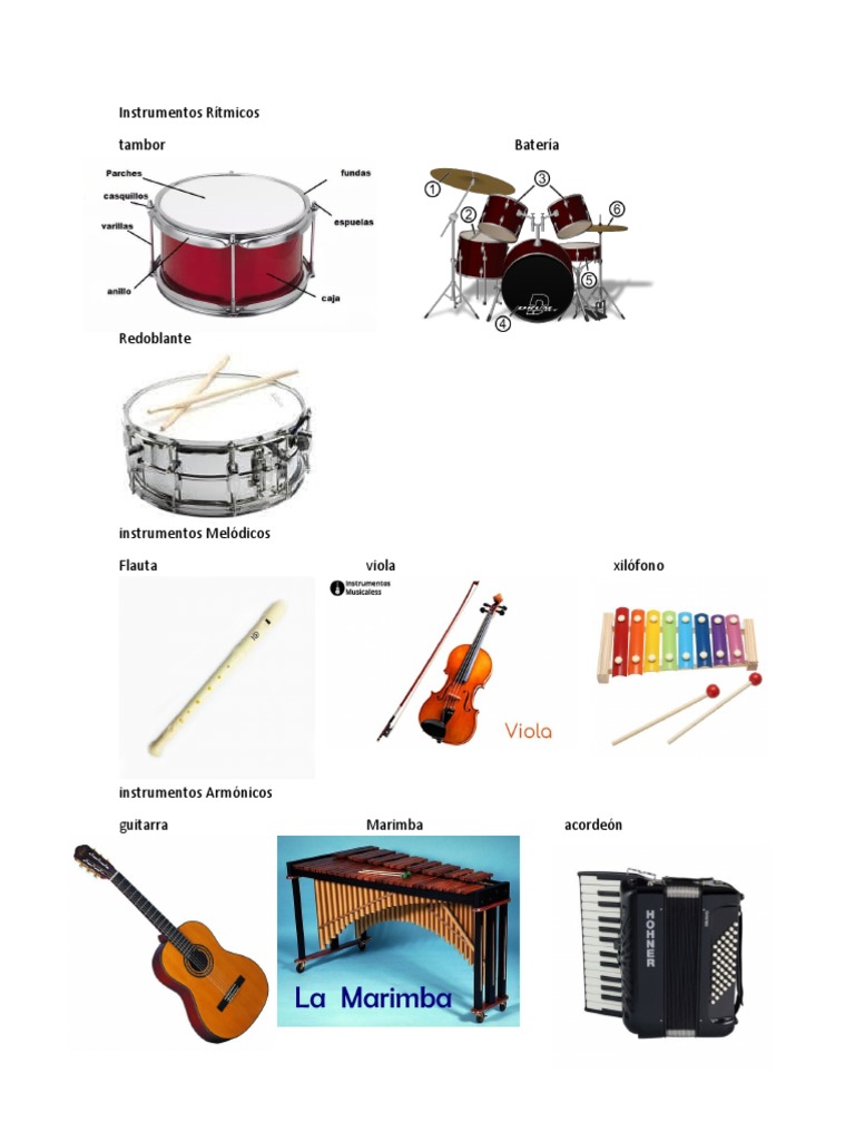 Instrumentos Rítmicos | PDF