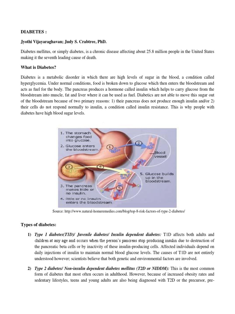 Understanding Diabetes: Types and Risks | PDF