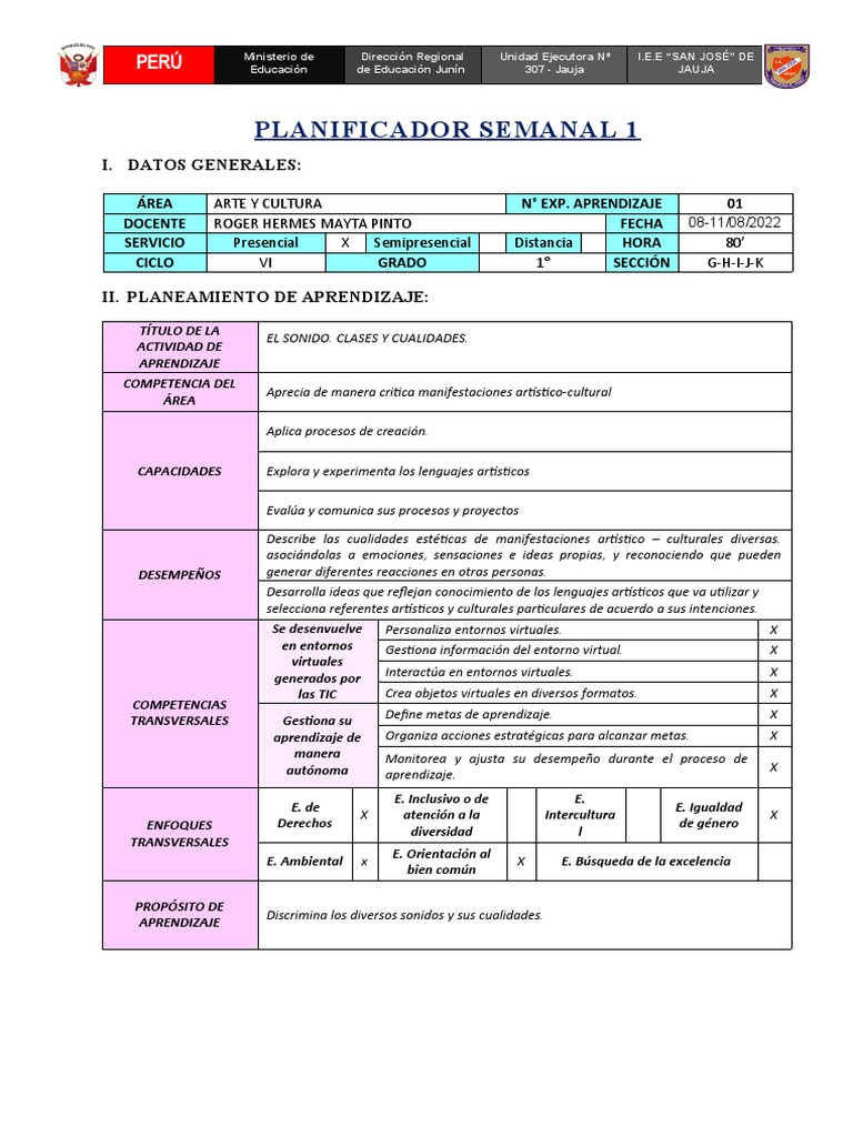 PLANIFICADOR SEMANAL N°1 PRIMER GRADO | PDF | Evaluación | Aprendizaje