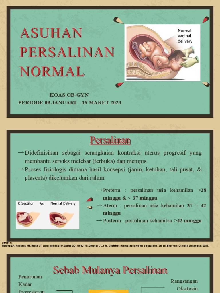 Proses Persalinan Normal dan Asuhannya | PDF