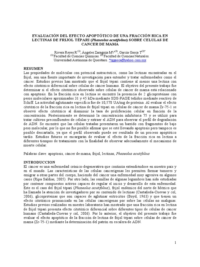 206/1/350/2009/2/20/UAQ Rivera Reyes | PDF | Cáncer | Apoptosis