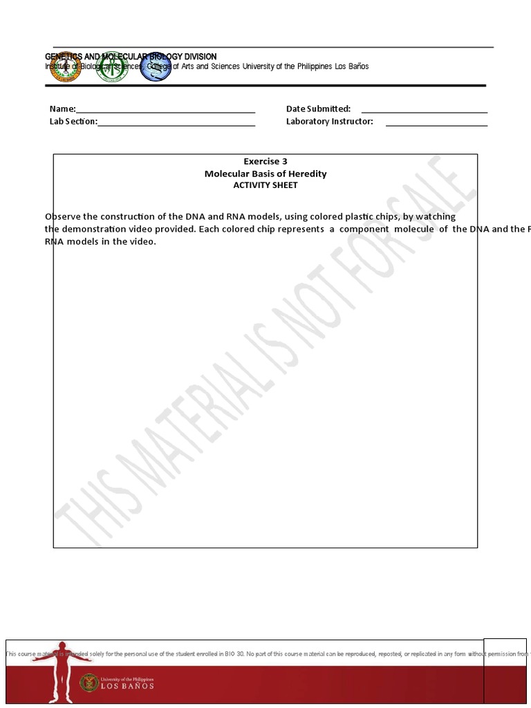 Exercise 3 Molecular Basis of Heredity: Name: Date Submitted: Lab Section: Laboratory Instructor ...
