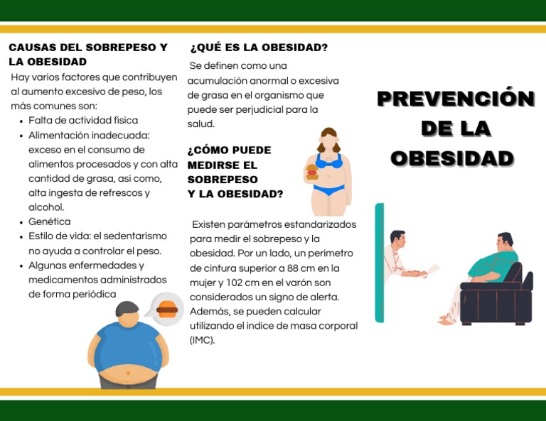 Triptico Obesidad | PDF Triptico Obesidad | PDF