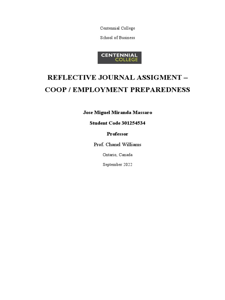 Reflective Journal Assignment | PDF | Consultant | Experience