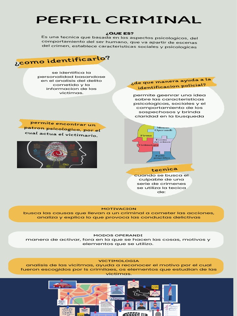 Perfil Criminal y Análisis delictual | PDF