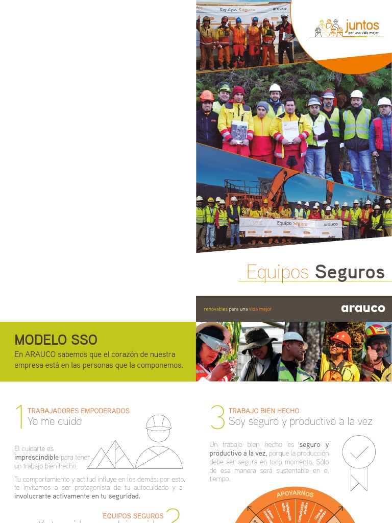 Equipos Seguros: Cultura de Seguridad | PDF