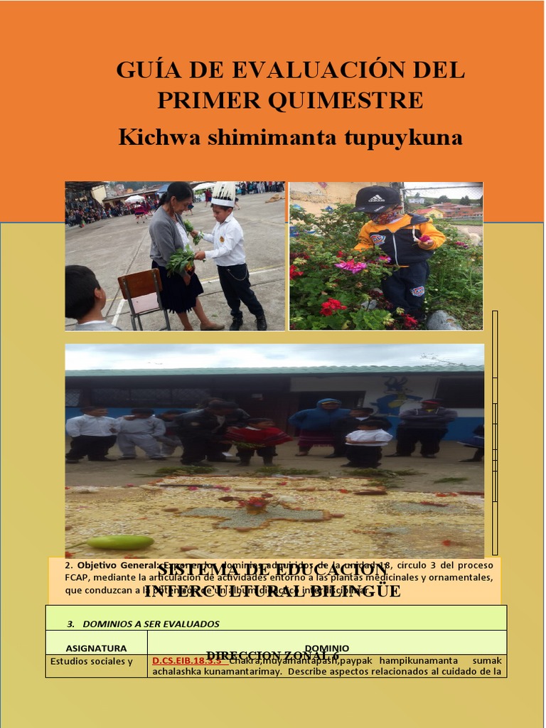 Guía de Eval. FCAP-EJEMPLO | PDF | Cognición