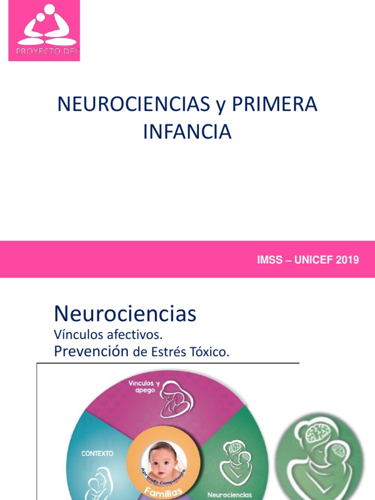 Neurociencias y Primera Infancia | PDF | Aprendizaje | Cerebro