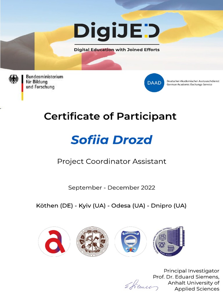 Drozd DigiJED | PDF | Art | Science & Mathematics