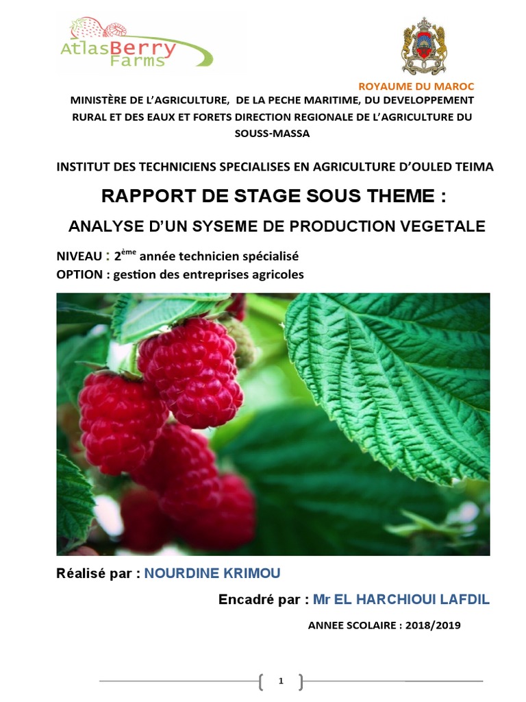 Rappt Atlas Berry | PDF