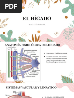 Tipos de Facies y sus Características | PDF | Anatomía humana ...