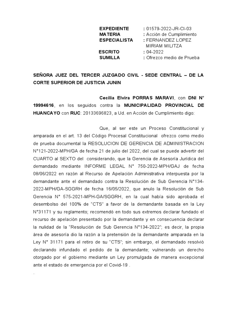 Escrito Ofrezco Medio de Prueba | PDF