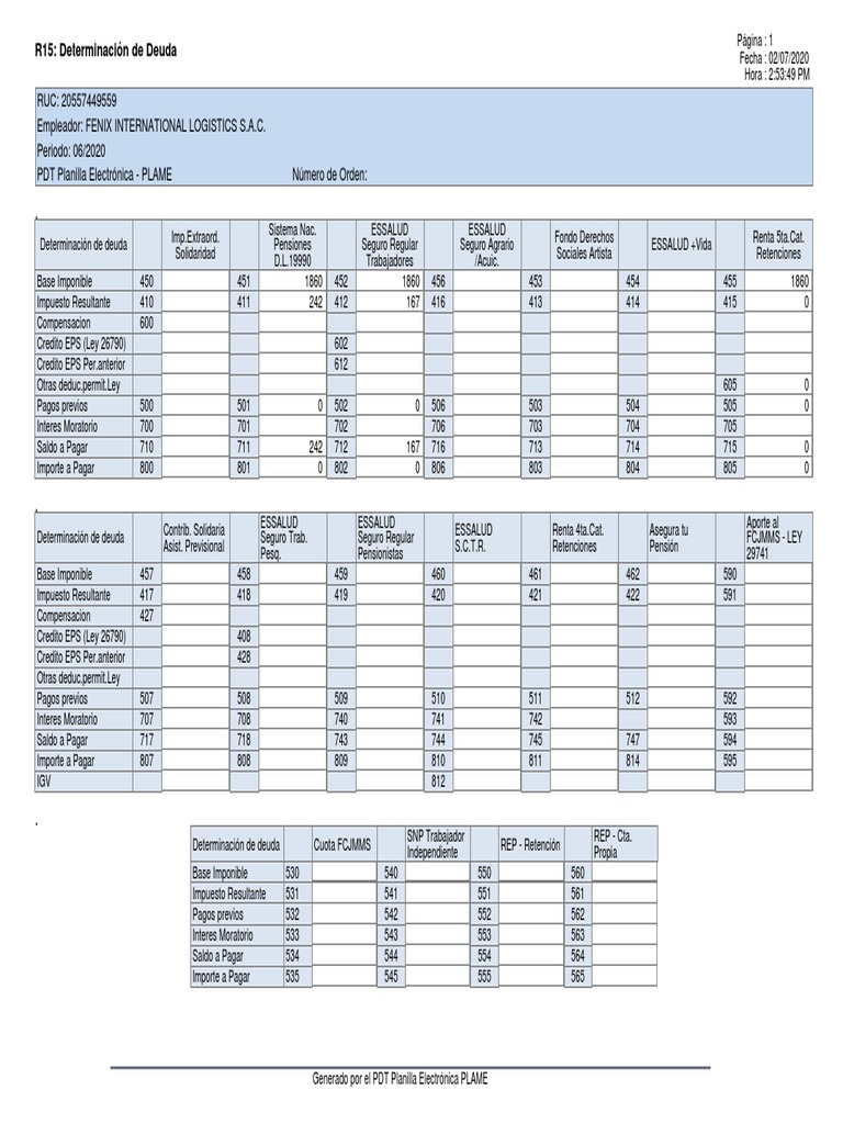 Determinación de Deuda PDT 601 PLAME | PDF