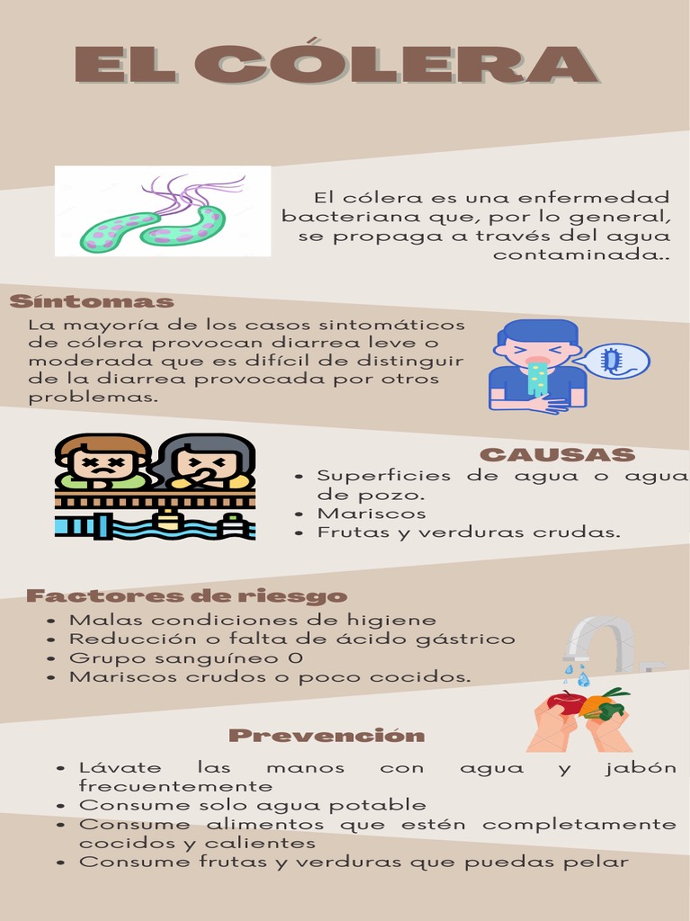 La Cólera | PDF | Cocina, comidas y vino