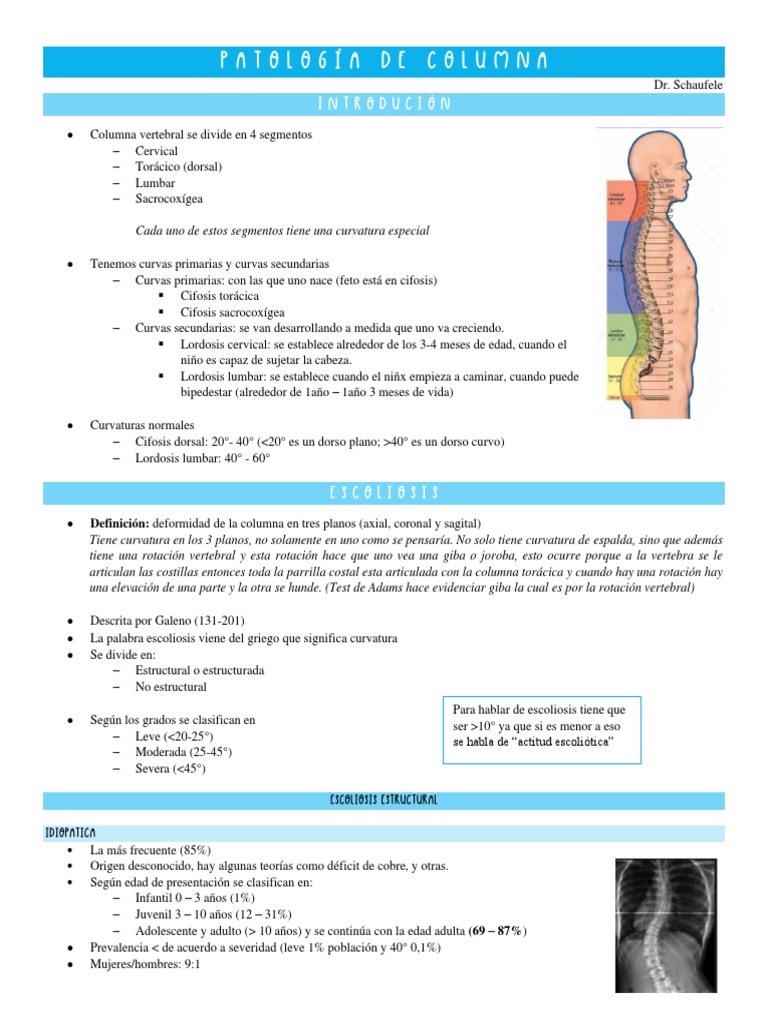 Patologia de Columna | PDF | Escoliosis | La columna vertebral