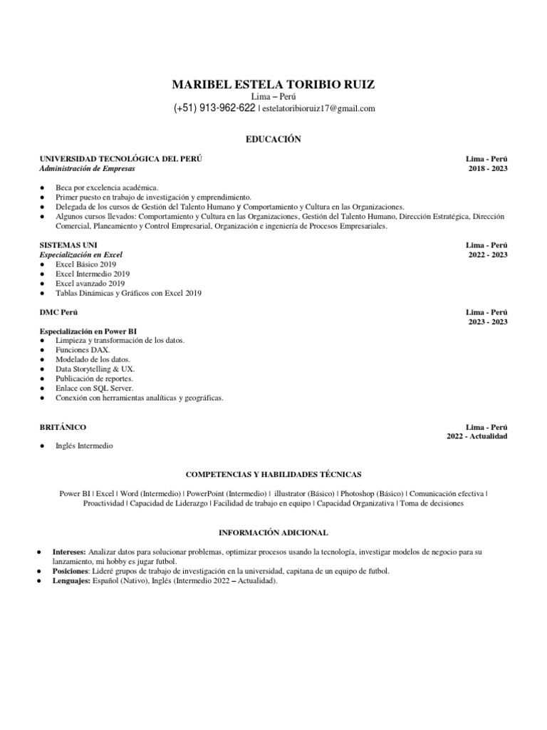 Perfil Profesional de Maribel Toribio | PDF | Informática | Business