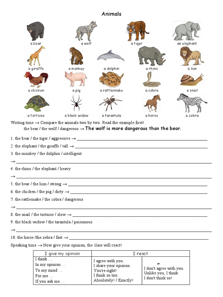 Comparing Animals Worksheet Templates Layouts - 121552 | Download Free ...