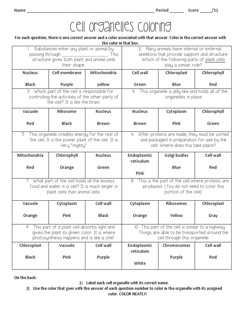 Cell Organelles Coloring | PDF | Cell (Biology) | Endoplasmic Reticulum