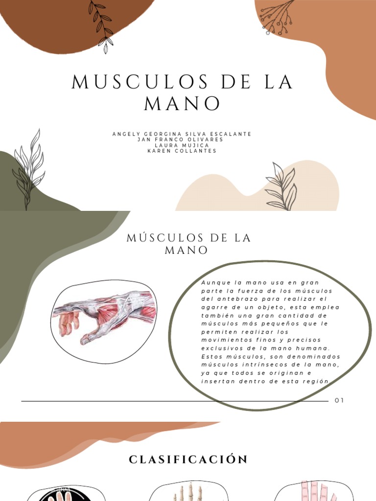 Músculos de La Mano | PDF