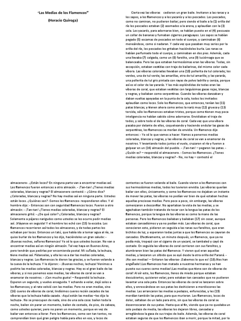 Las Medias de Los Flamencos | PDF