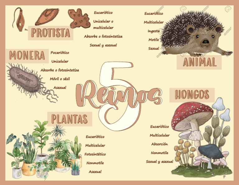 5 Reinos | PDF