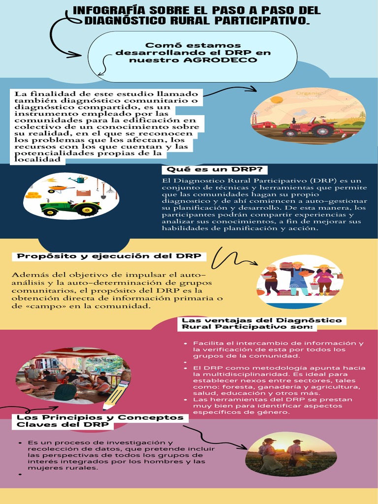 Comó Estamos Desarrollando El DRP en Nuestro AGRODECO: Qué Es Un DRP ...