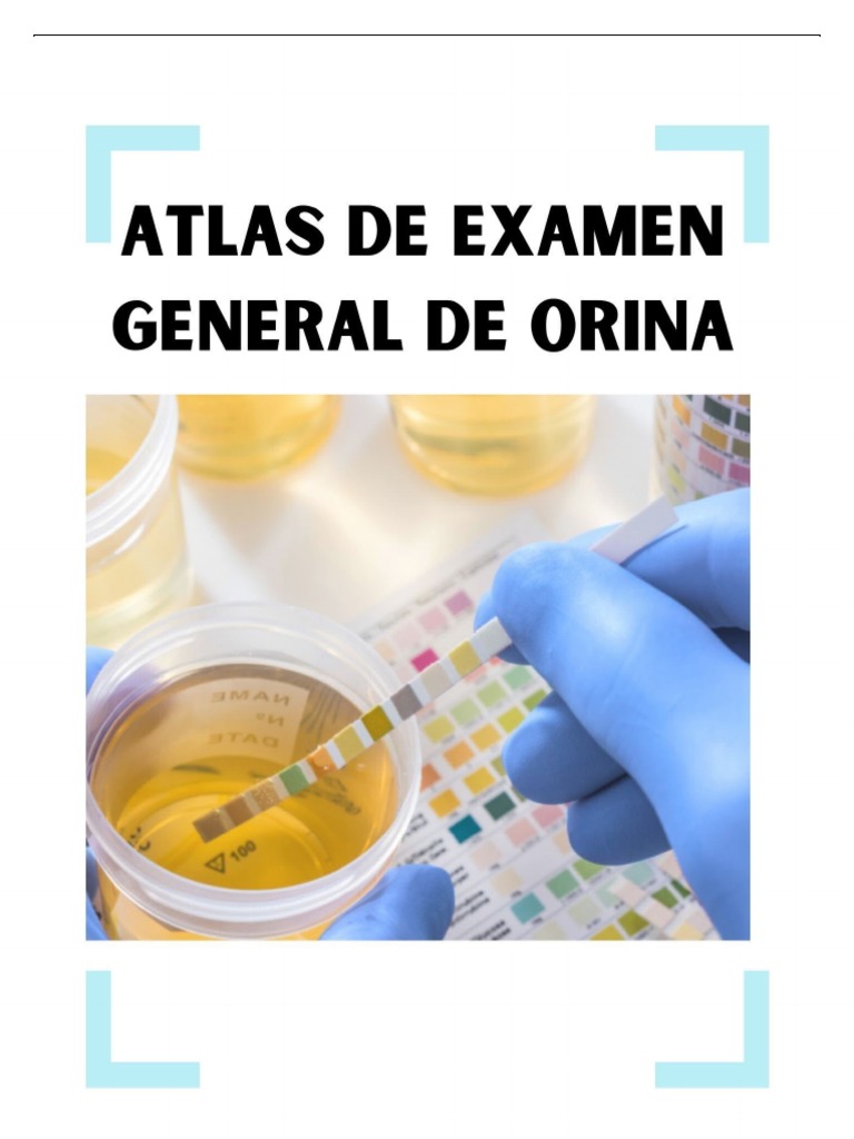 Atlas de Orina | PDF | Especialidades Medicas | Química