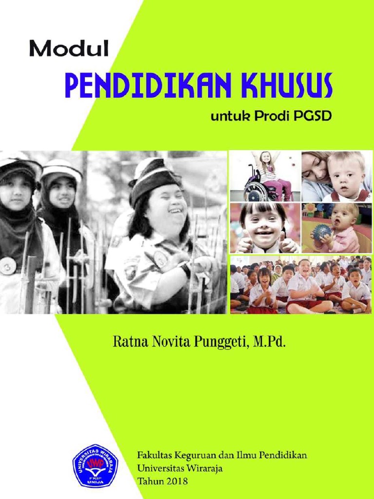 Modul Pendidikan Khusus | PDF