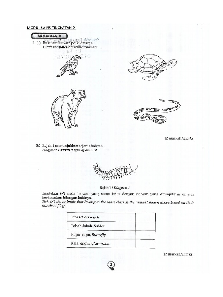 Modul Sains Tingkatan 2 Pdf