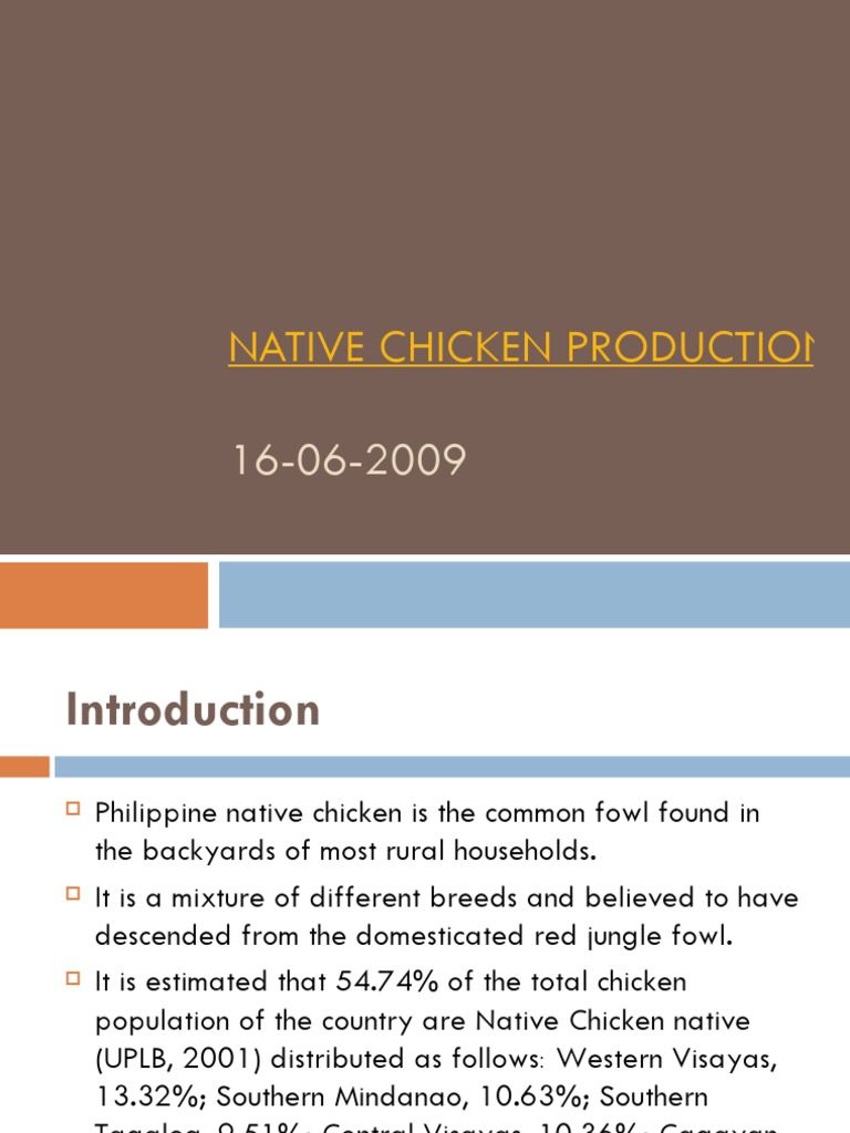 Philippine Native Chicken Production Guide | PDF | Chicken | Poultry