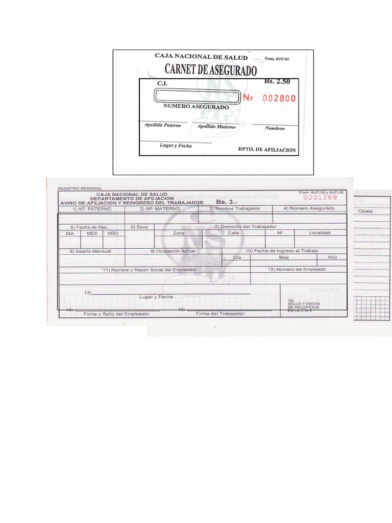 Cns Afiliacion | PDF