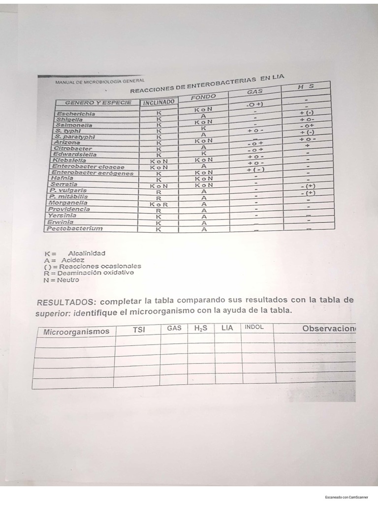 Tablas de Lectura | PDF