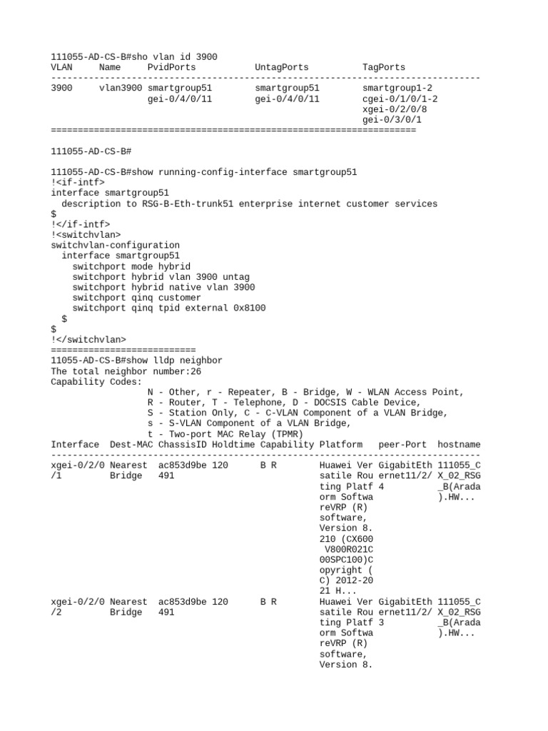 HUAWEI_IPRAN_SERVICE_TROUBLESHOOT1 | PDF | Network Protocols ...