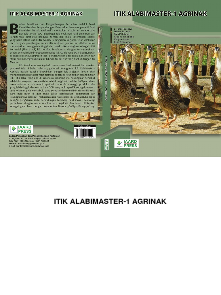 Buku Itik Alabi Master | PDF