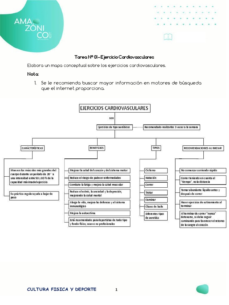 Mapa Conceptual de Ejercicios Cardiovasculares | PDF